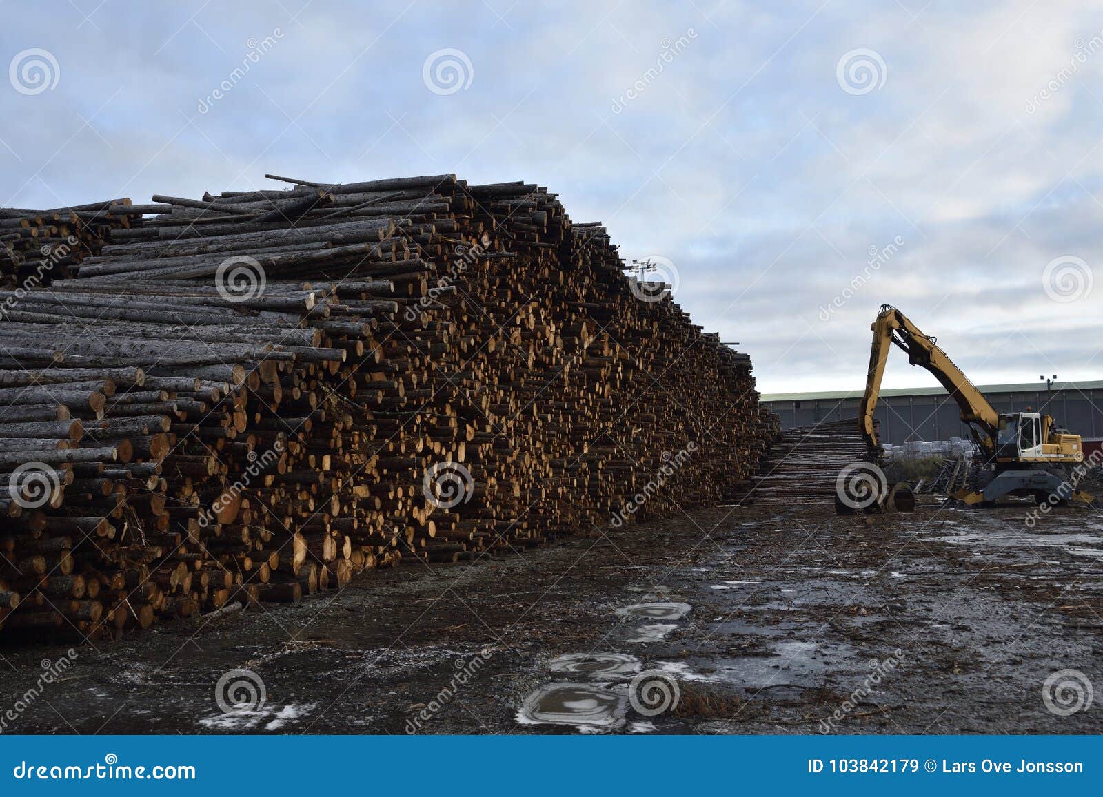 Stack of Timber and a Crane To Move it Stock Image - Image of ...