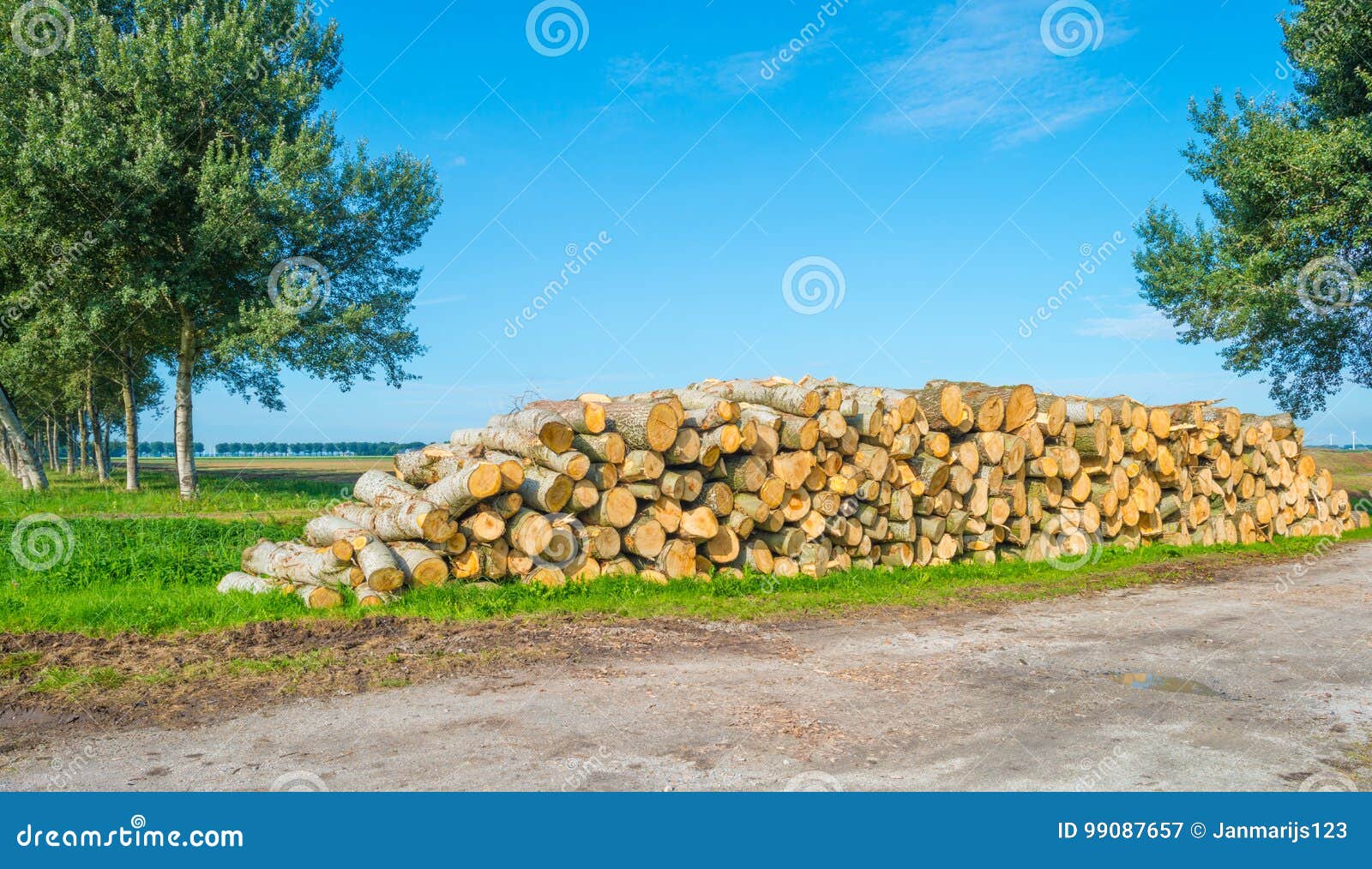 Stack of Timber in a Field in Sunlight Stock Image - Image of restful ...