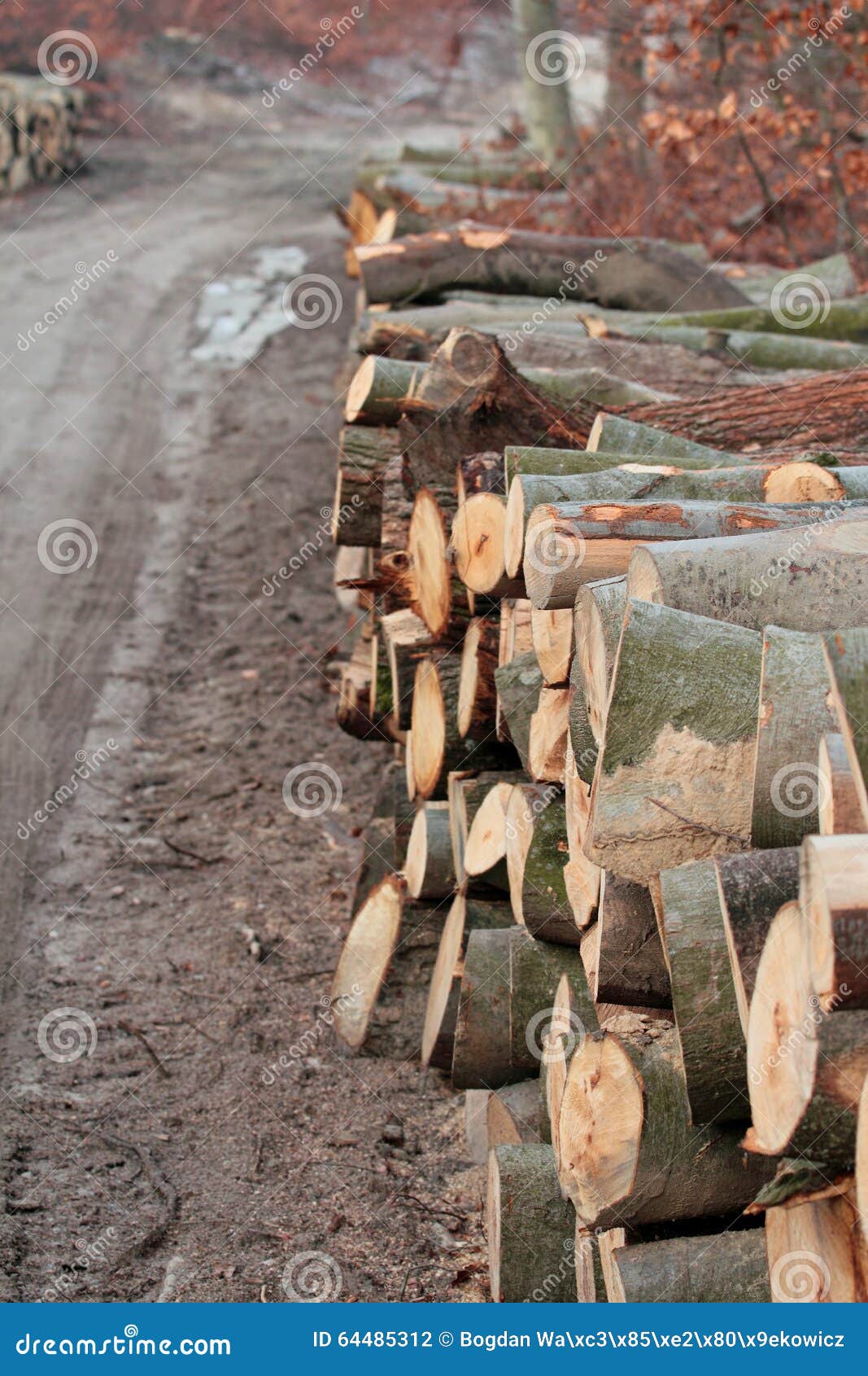 Stack of timber logs stock photo. Image of rural, material - 64485312