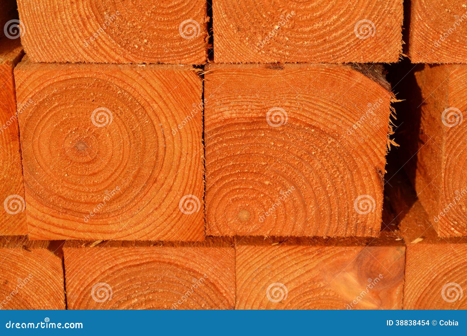 Stack of timber piles stock photo. Image of installation - 38838454
