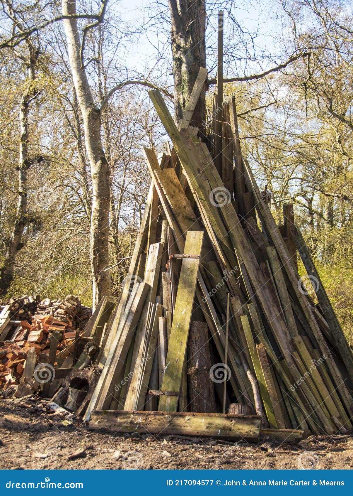 Stack of Timber Rest Up Against a Tree, Fraserburgh,Aberdeenshire ...