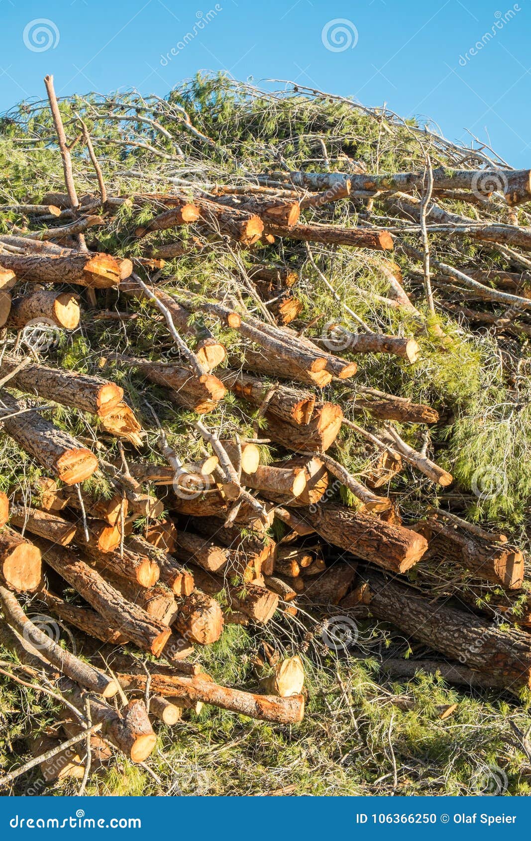 Stack of timber stock photo. Image of lumber, wooden - 106366250