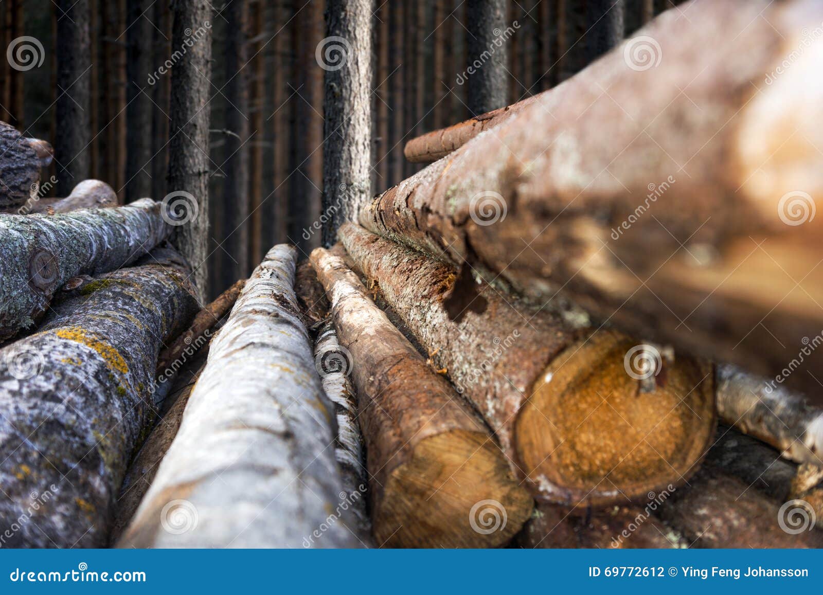 Stack of timber stock photo. Image of stack, tree, industry - 69772612