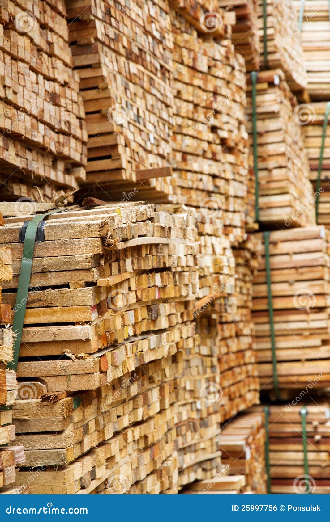 Stack of timber wood stock photo. Image of hardwood, site - 25997756