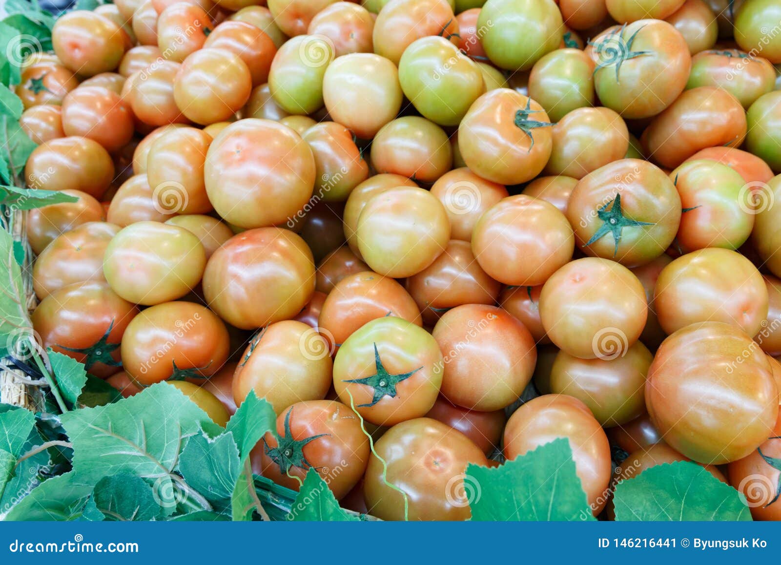 A Stack of Tomatoes on Display Stock Image - Image of tomato, fruit ...