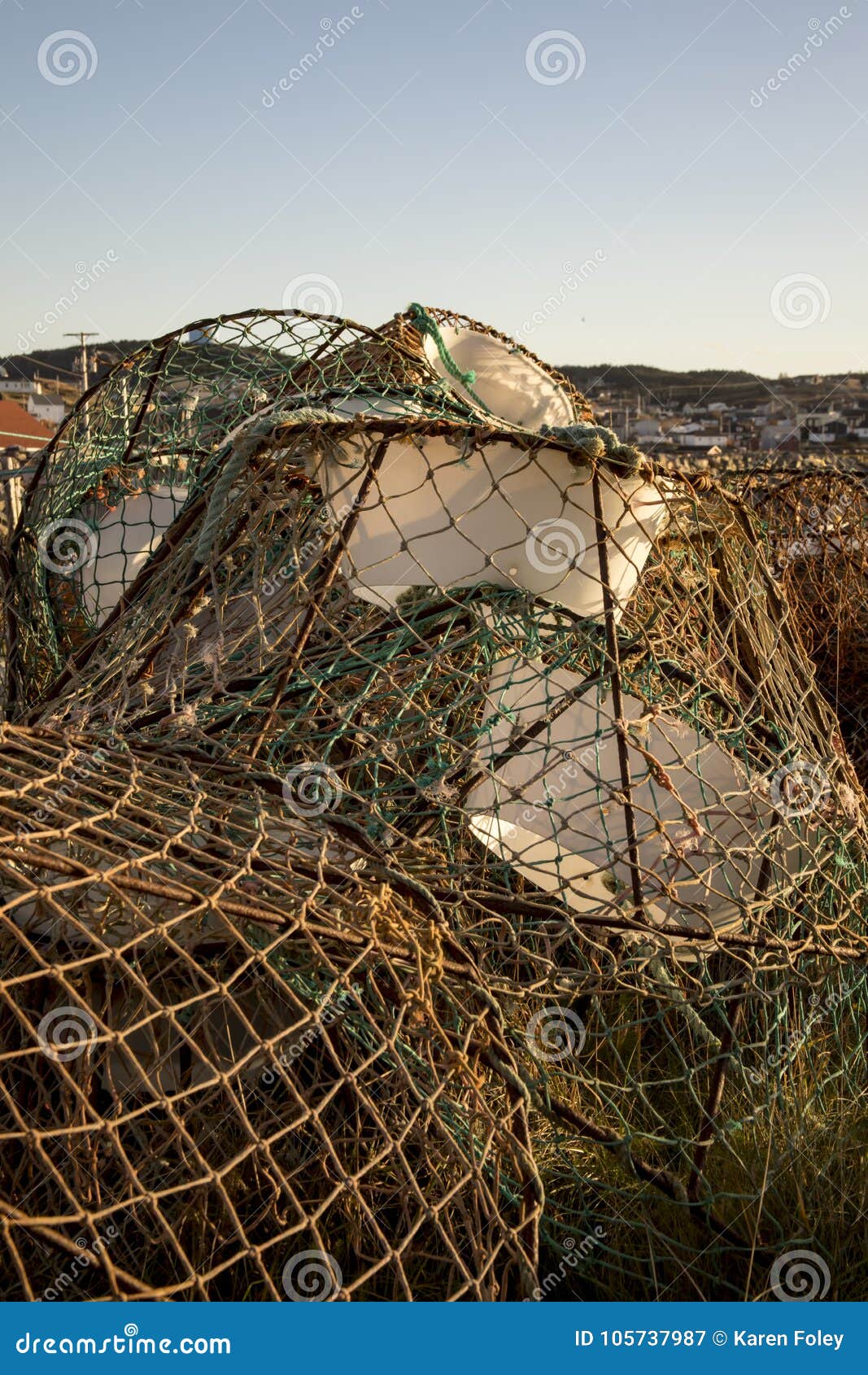 Traps Cod Bonavista Nl Canada Stock Photos - Free & Royalty-Free Stock ...