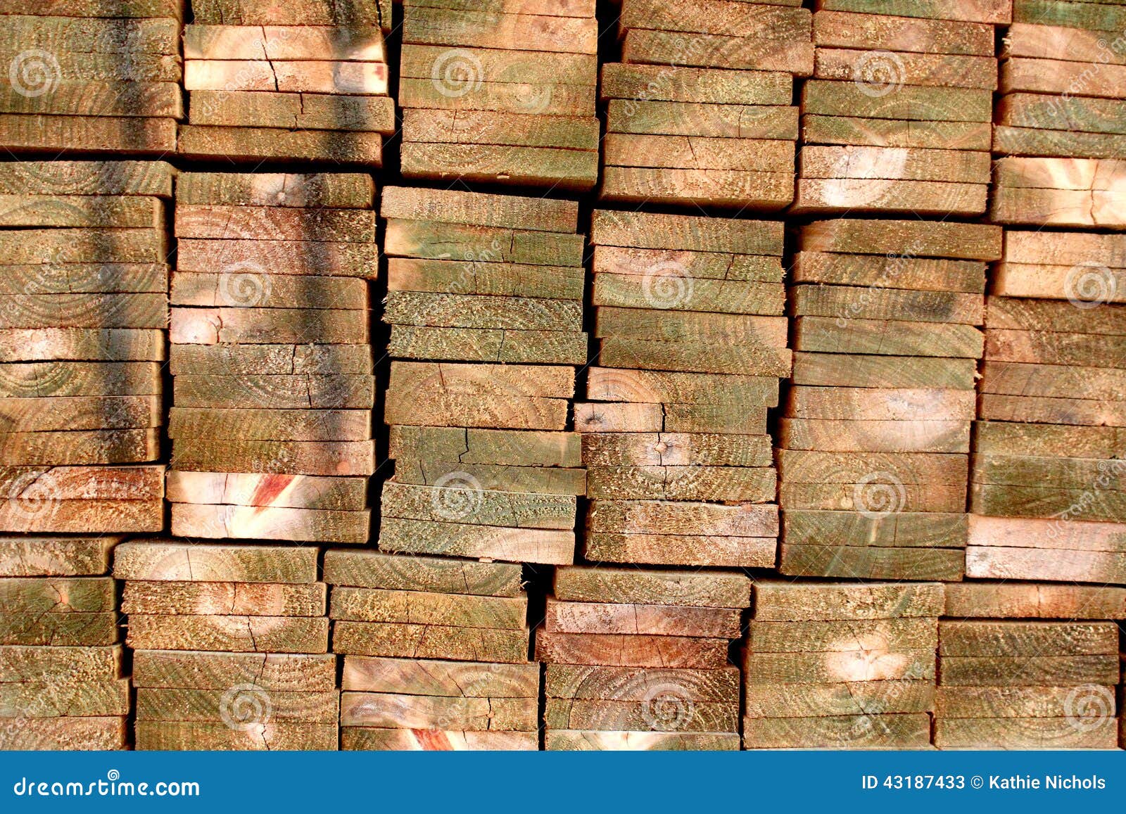 Pine Timber Wall Frames House Structure Stock Image | CartoonDealer.com ...