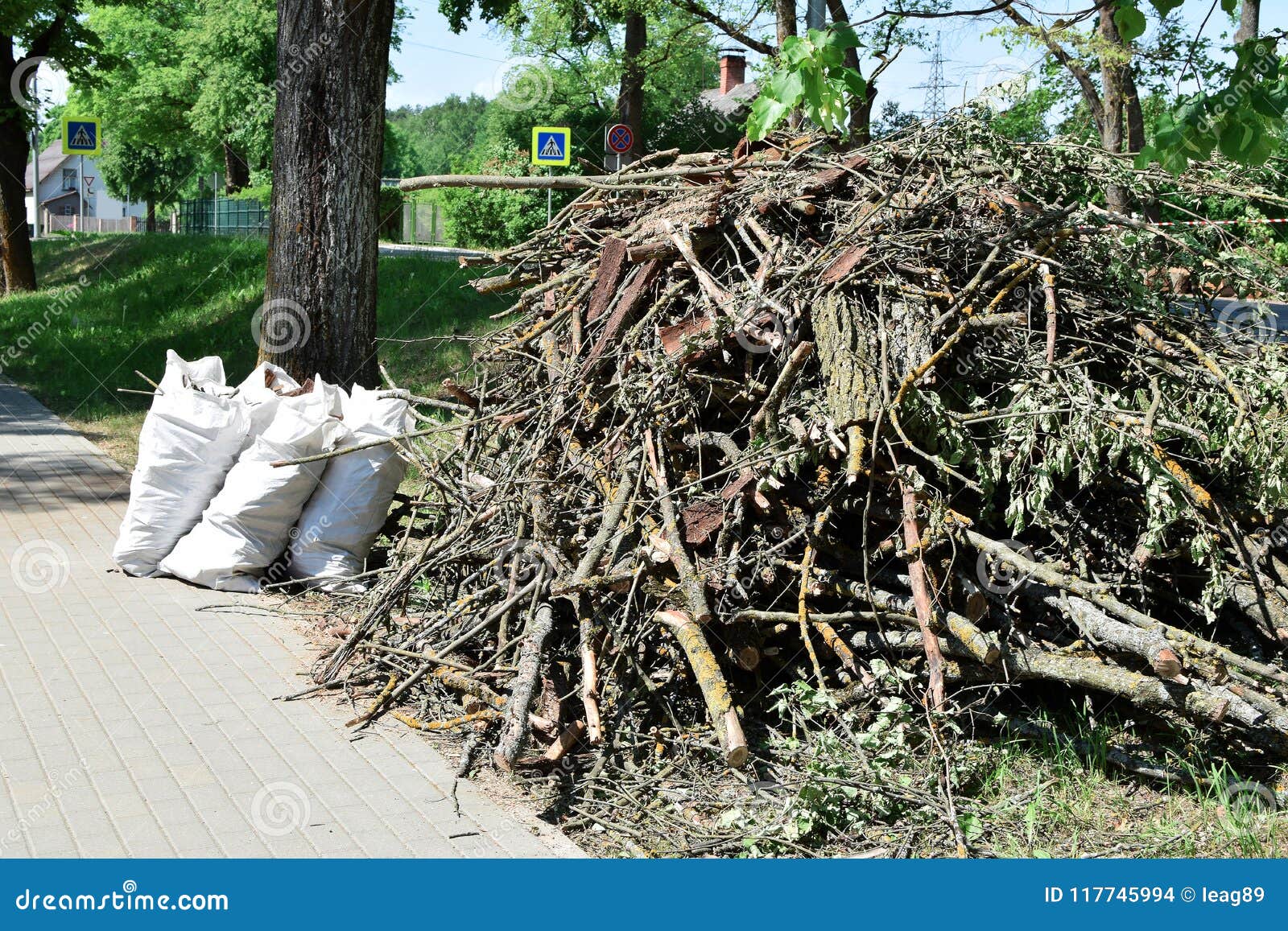 Stack of tree branches stock photo. Image of object - 117745994
