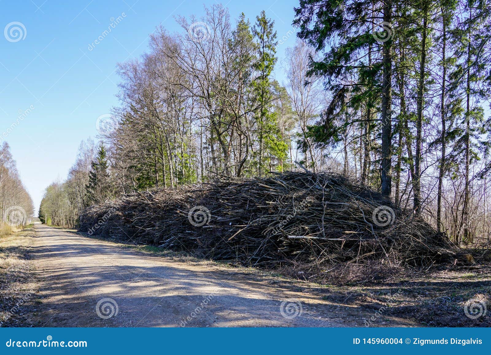 A Stack of the Tree Branches on the Roadside before Preparing in Wood ...