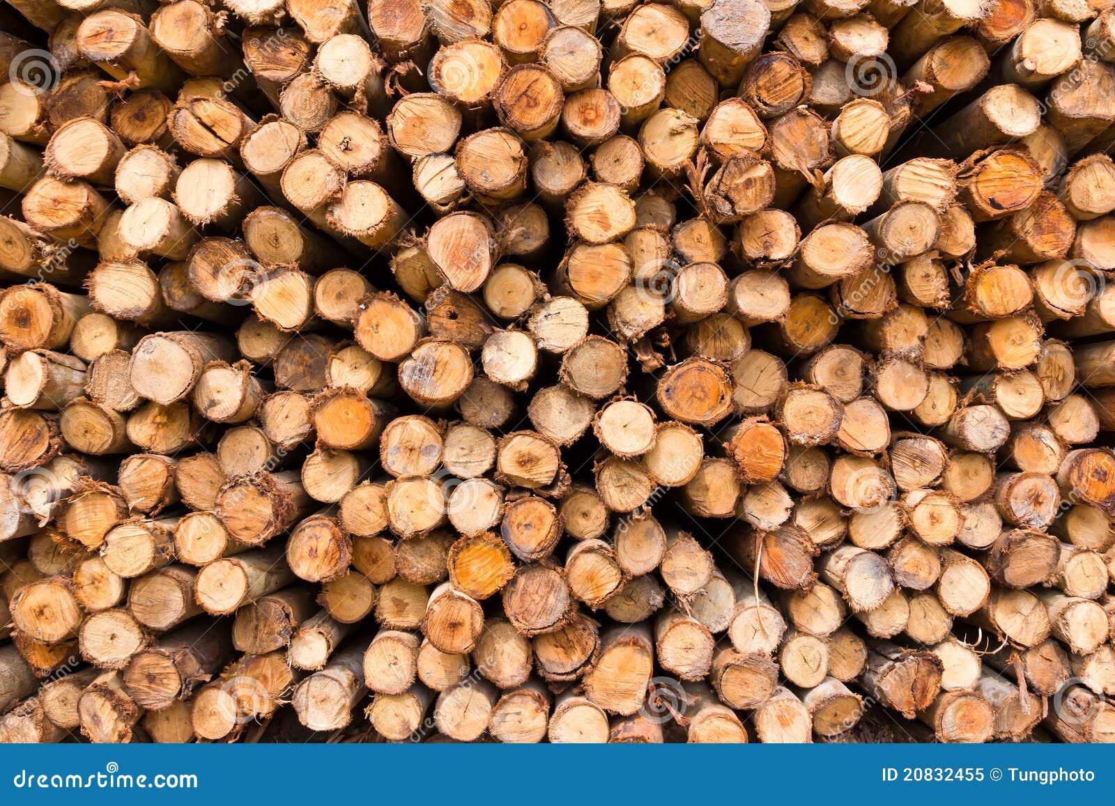 Stack of tree stump stock image. Image of natural, shape - 20832455