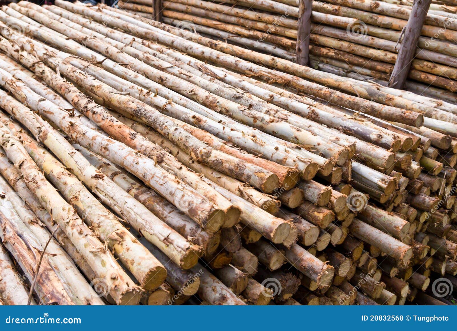 Stack of tree stump stock photo. Image of lumber, plank - 20832568