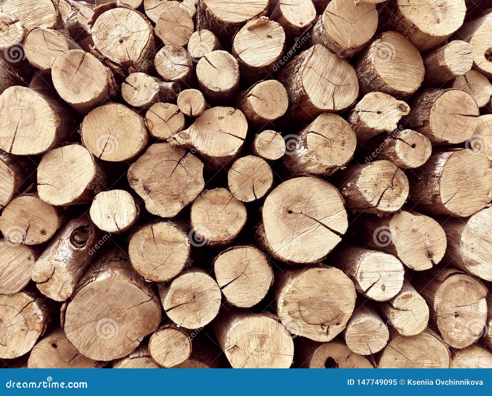 Stack of Tree Stump for Background.Firewood Stock Image - Image of ...