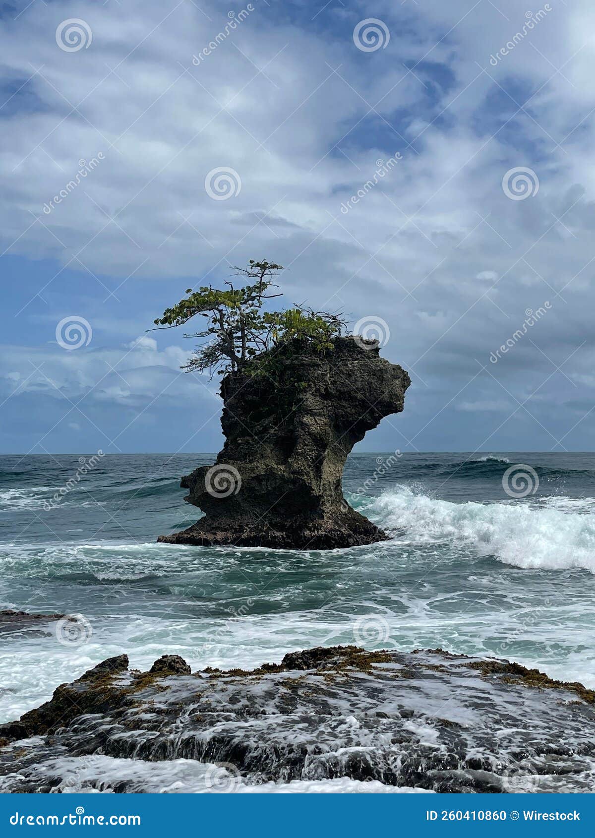 Stack with a Tree on Top of it Surrounded by the Beach Waves in ...