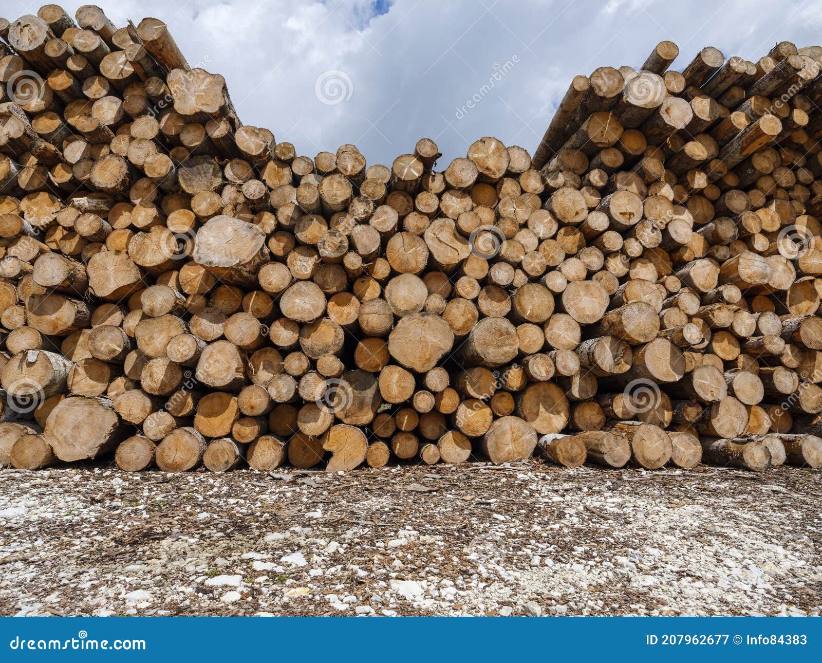 Stack of Tree Trunks Cut and Stacked Stock Image - Image of brown ...