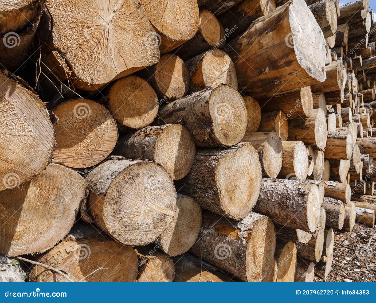 Stack of Tree Trunks Cut and Stacked Stock Photo - Image of fireplace ...