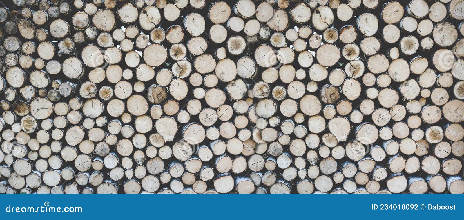 Stack of Tree Trunks. Texture Background Stock Photo - Image of pine ...