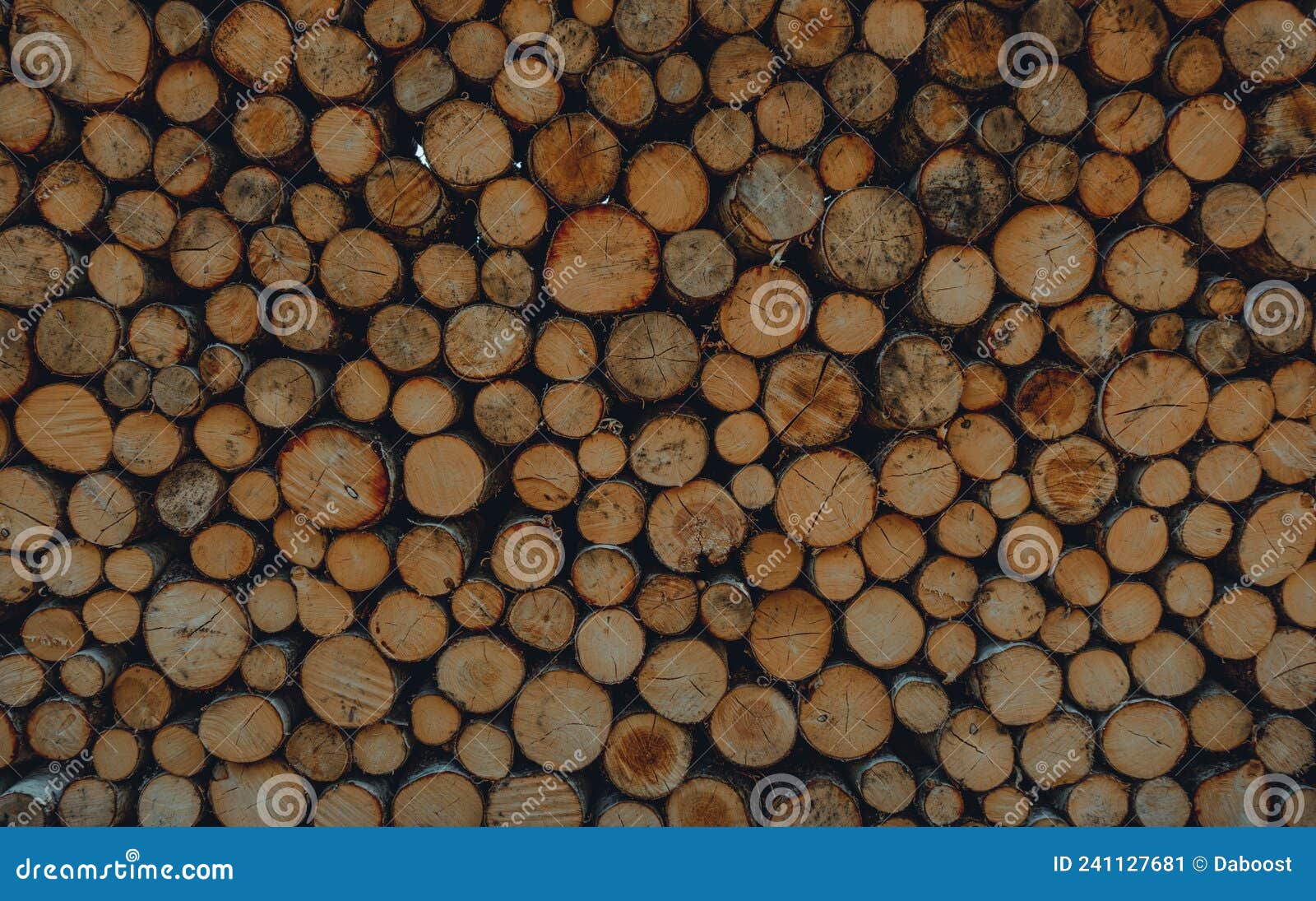 Stack of Tree Trunks. Texture Background Stock Image - Image of closeup ...