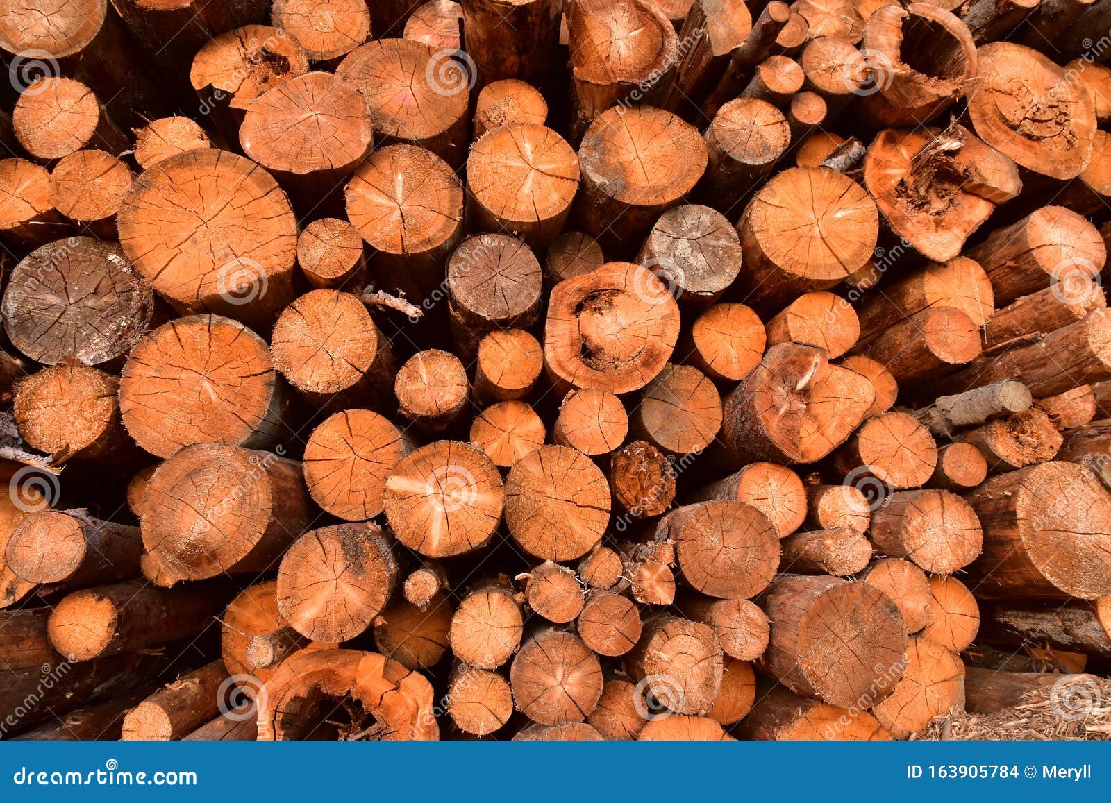 Stack Of Tree Stump For Background Stock Photography | CartoonDealer ...