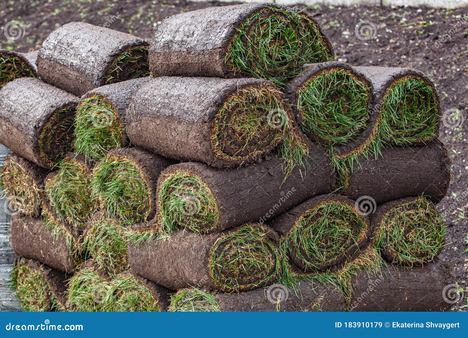 Stack of Turf Grass Roll for Lawn Stock Image - Image of laying, golf ...