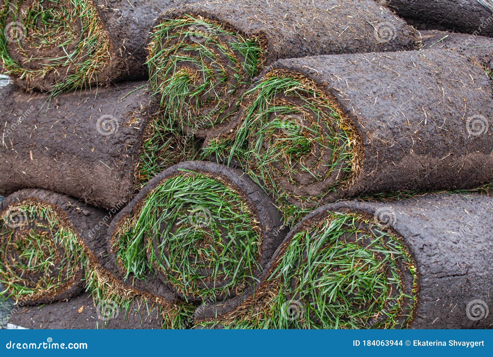 Stack Of Turf Grass Rolls For A Lawn. Carpet Of Turf, Roll Of Sod, Turf ...