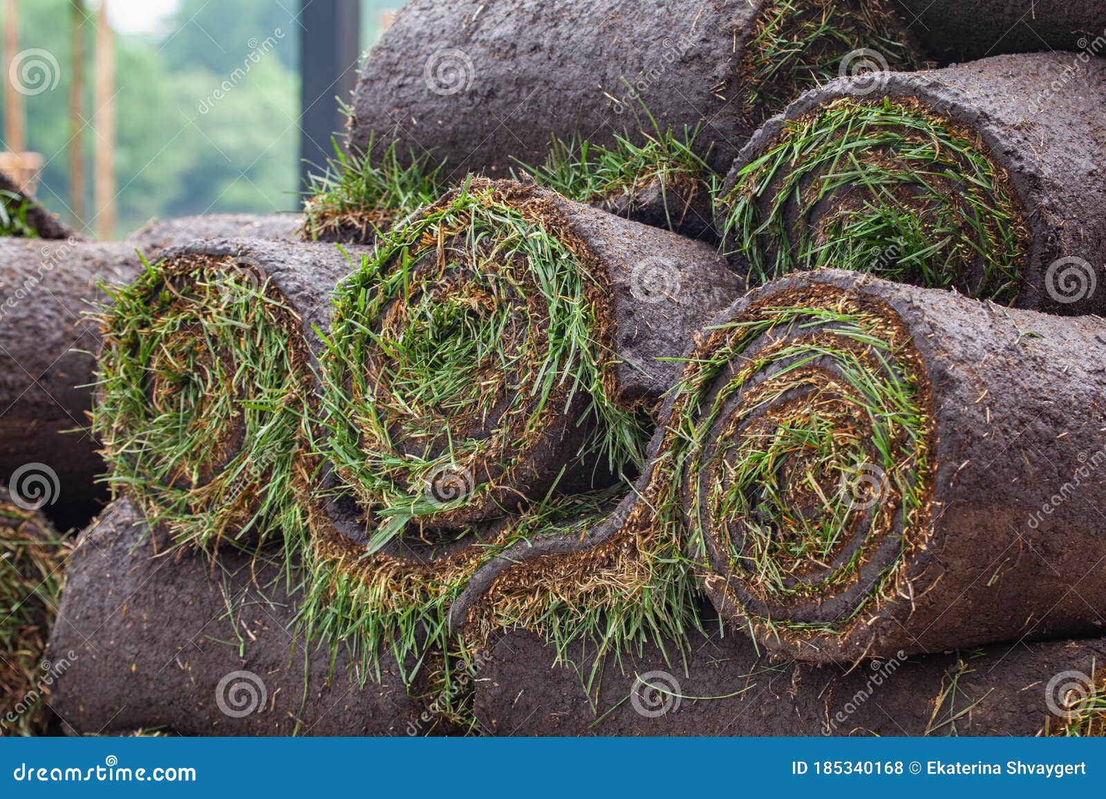 Stack of Turf Grass Roll for Lawn Stock Photo - Image of flora, detail ...