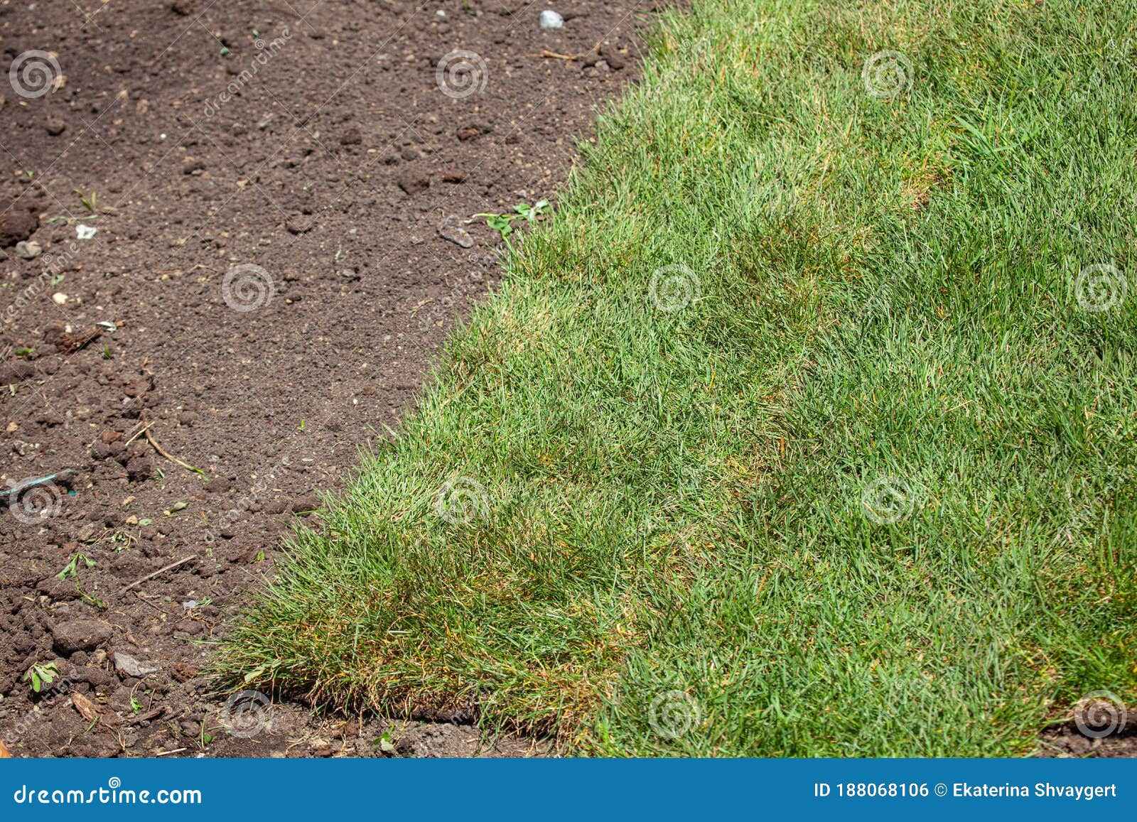 Stack Of Turf Grass Rolls For A Lawn. Carpet Of Turf, Roll Of Sod, Turf ...