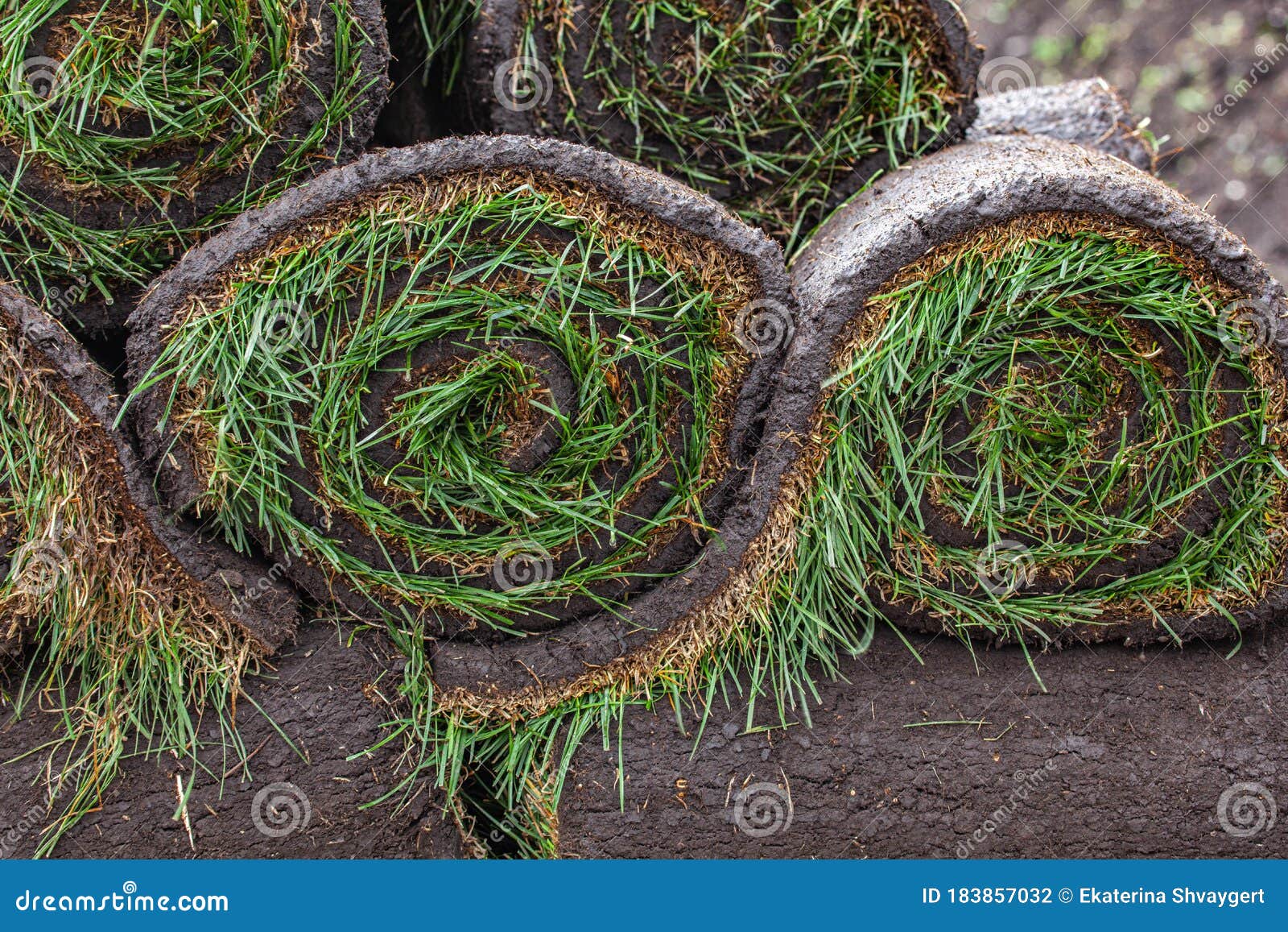 Stack of Turf Grass Roll for Lawn Stock Photo - Image of artificial ...