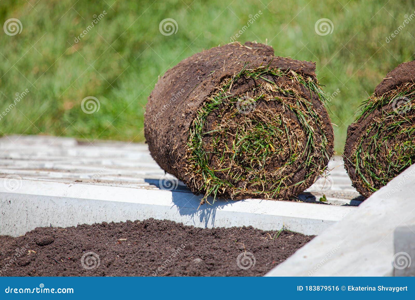 Stack of Turf Grass Roll for Lawn Stock Photo - Image of detail ...