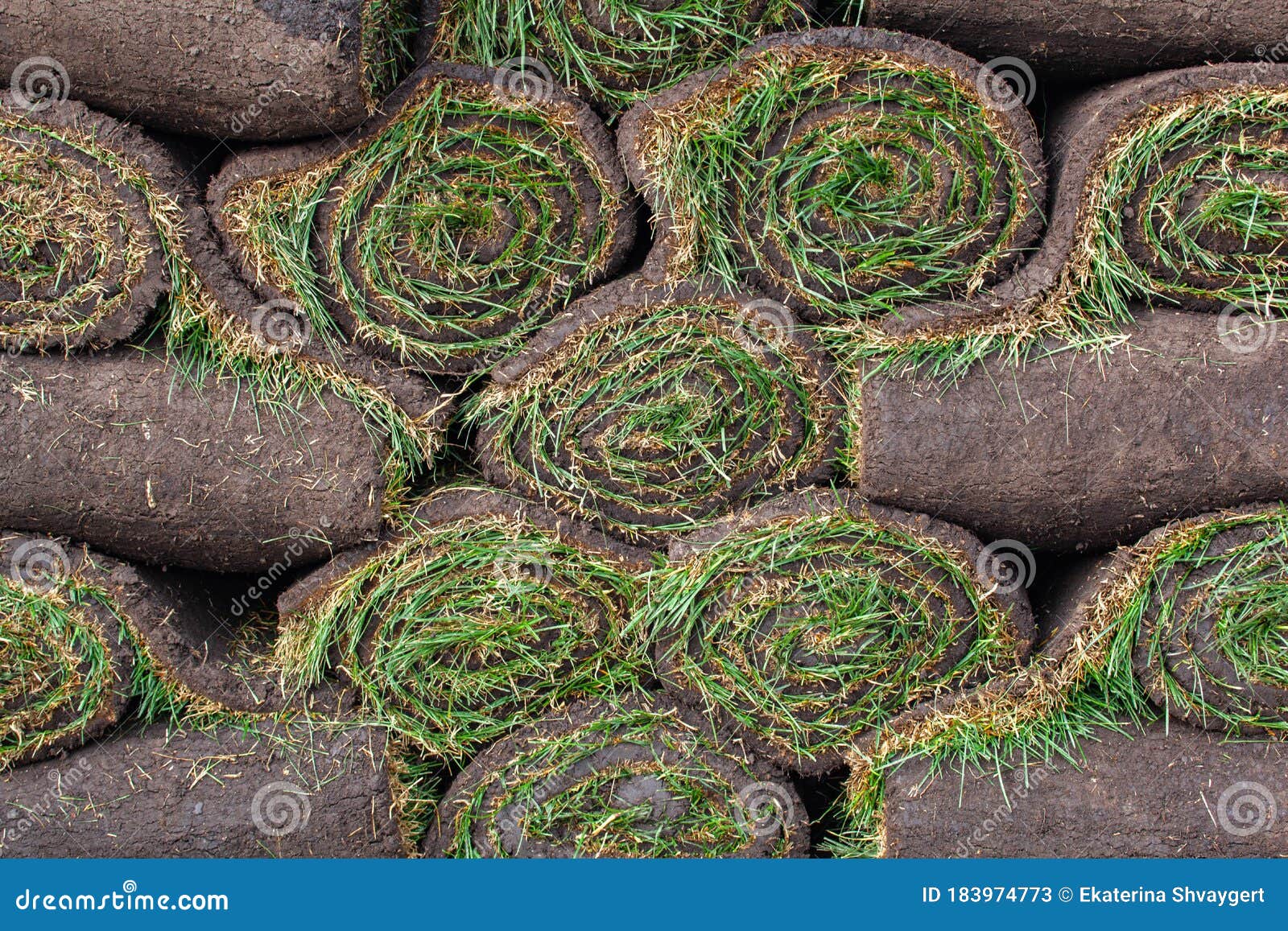 Stack of Turf Grass Roll for Lawn Stock Image - Image of grow, dirt ...