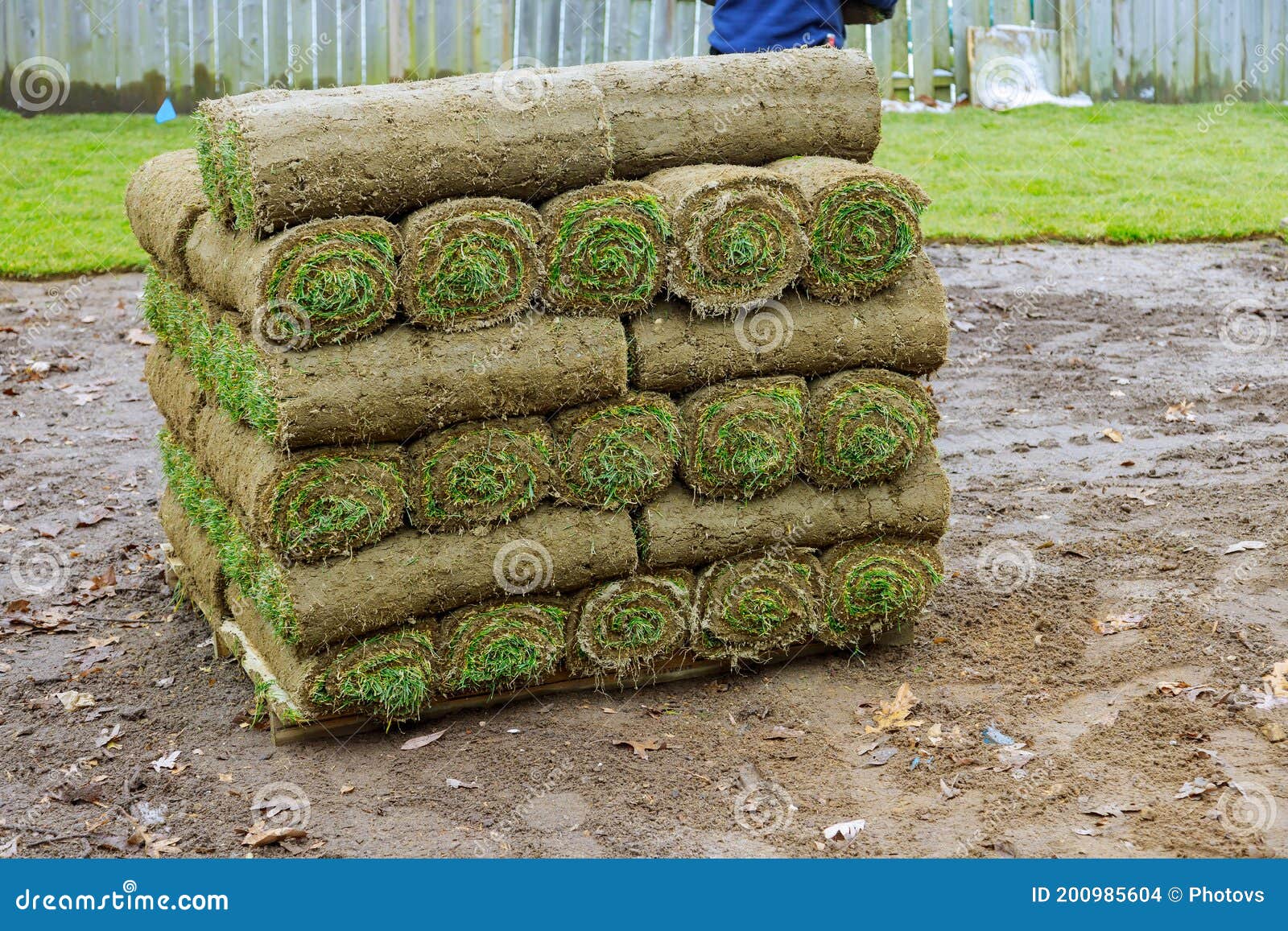Stack of Turf Grass Rolls for a Lawn Fresh Grass To Decorate Landscape ...