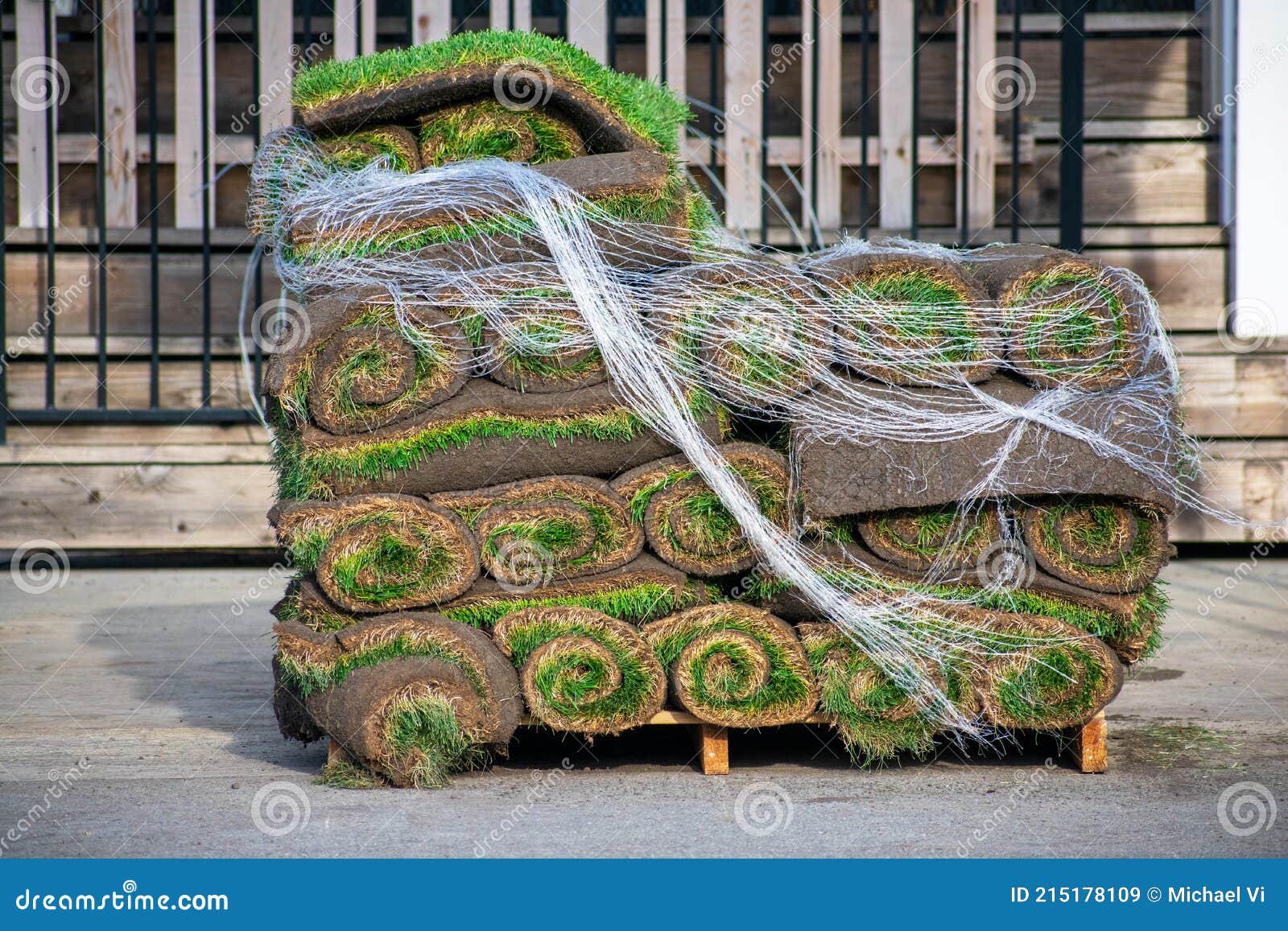 Stack of Turf Grass Rolls, Small Rolls of Sod on Pallet is Ready for ...