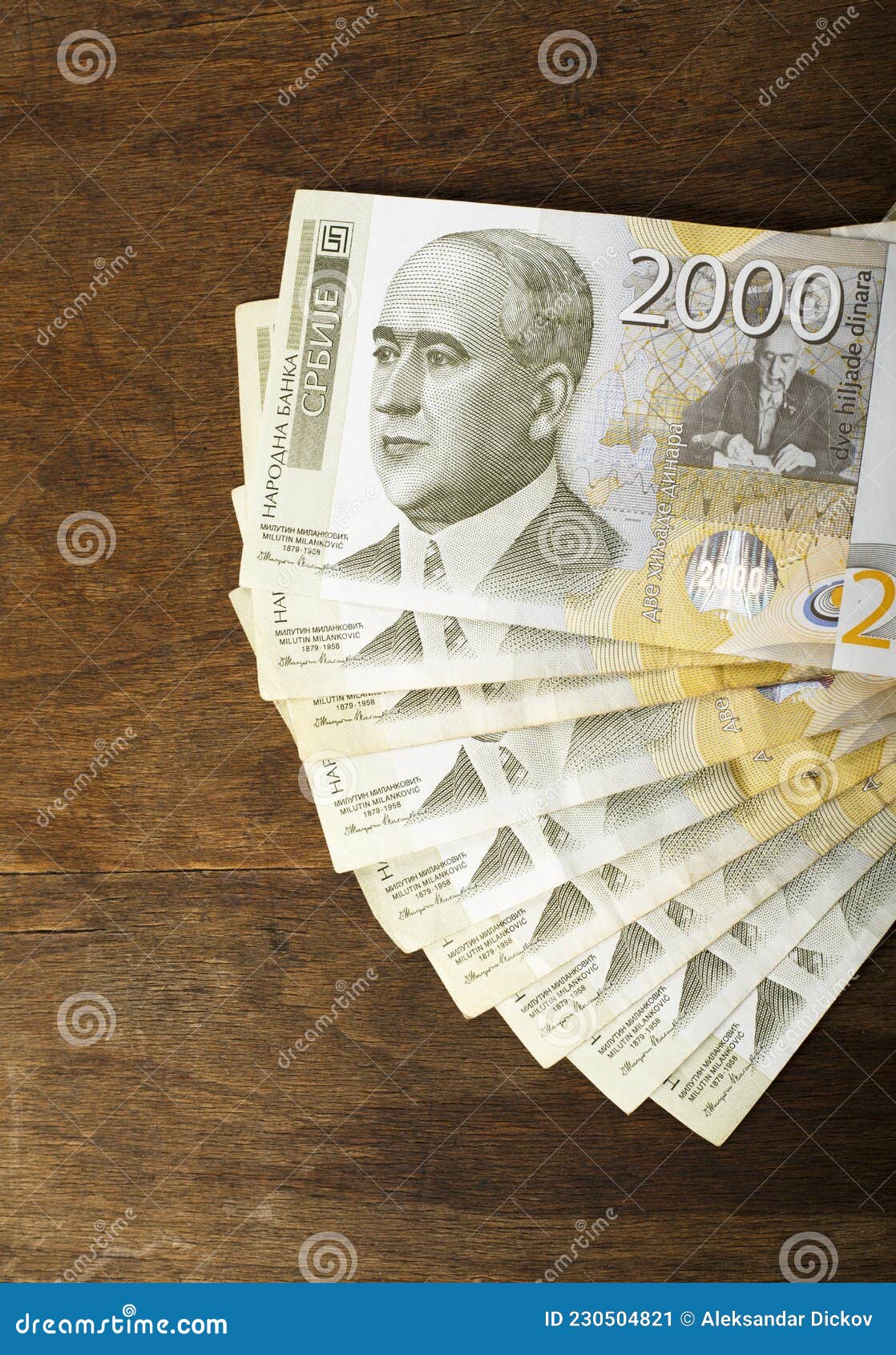 Serbian dinar stock image. Image of banking, dinar, rich - 230504821