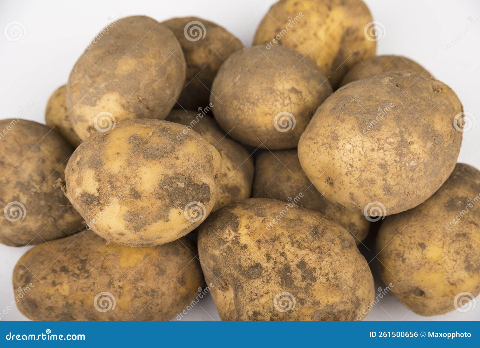 Stack of Unwashed Potatoes on a White Background Stock Photo - Image of ...