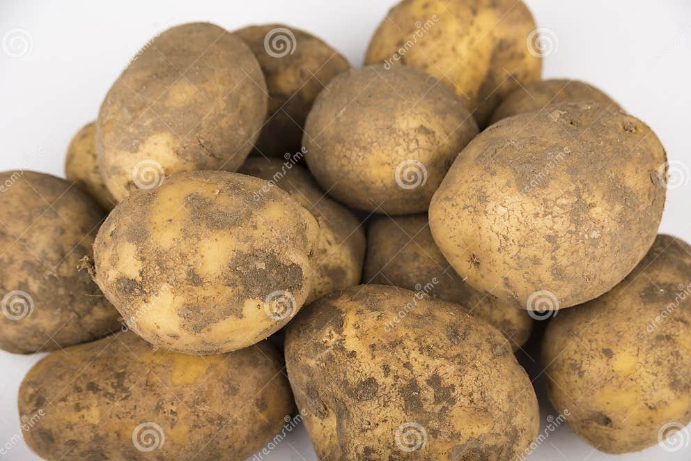 Stack of Unwashed Potatoes on a White Background Stock Photo - Image of ...