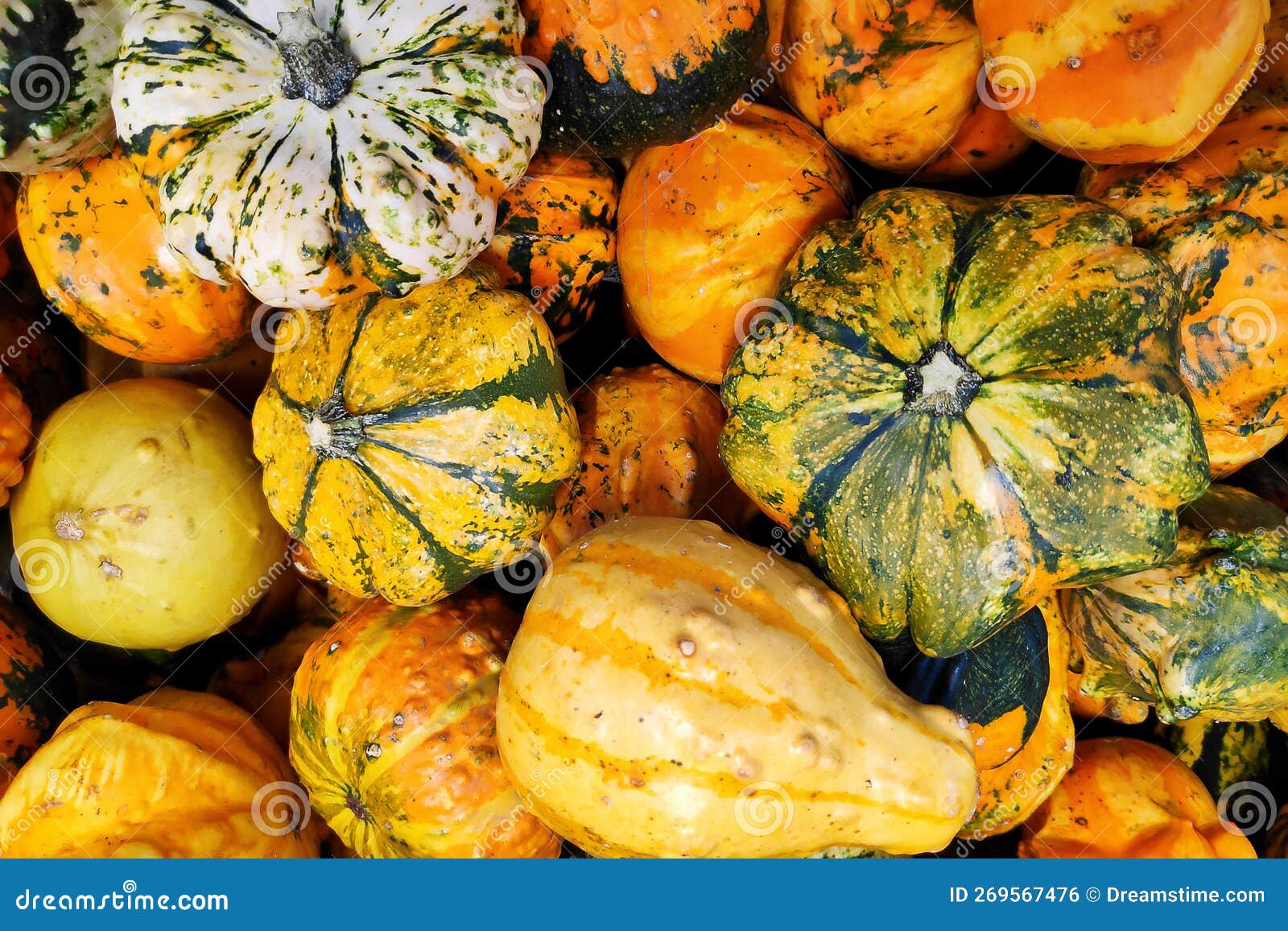 Stack of Various Cucurbits on a Market Stall Stock Photo - Image of ...