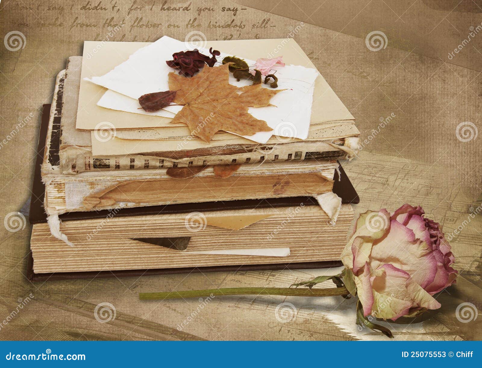 Stack of Vintage Books and Rose Stock Image - Image of archive, dirty ...