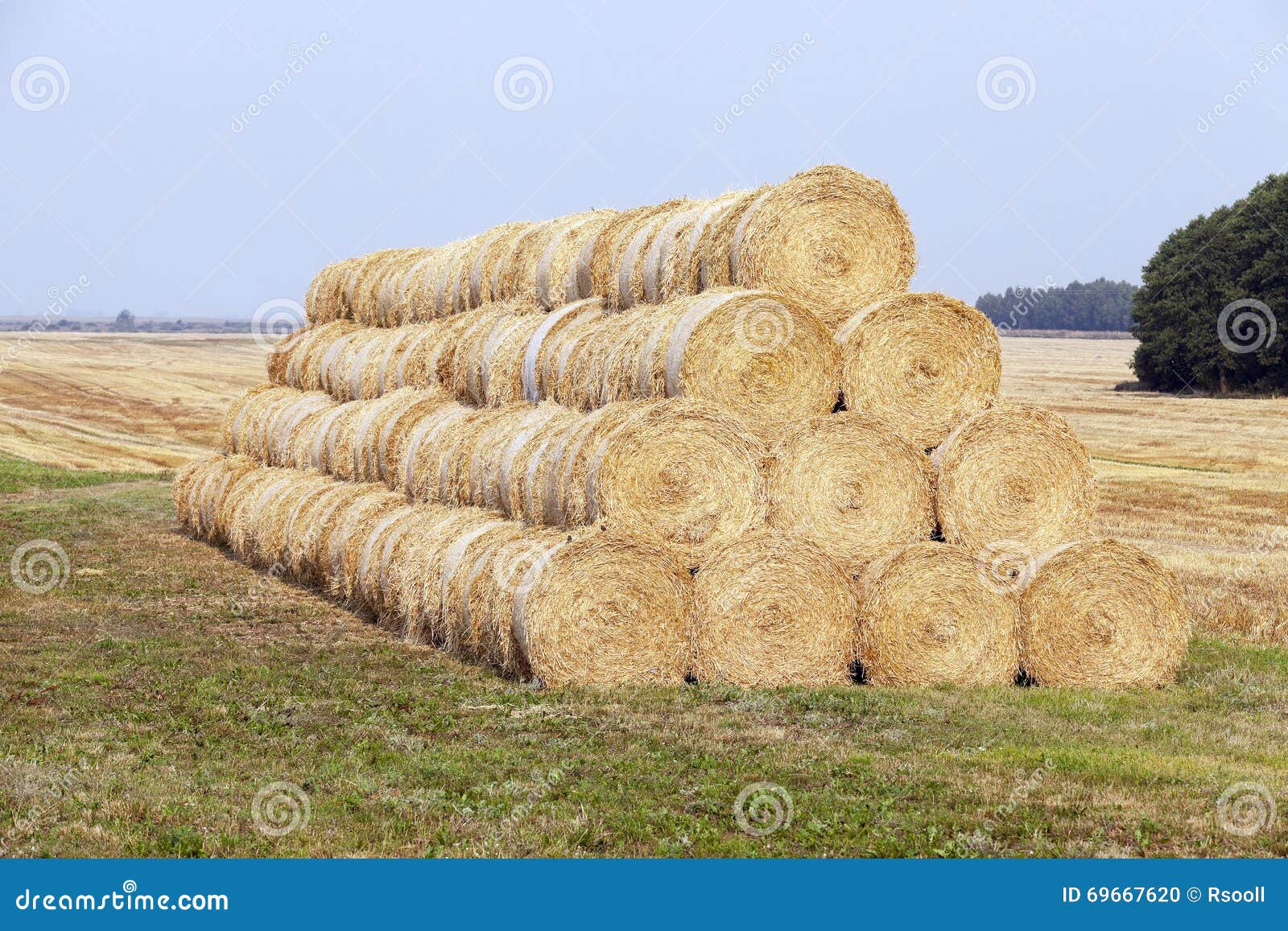 Stack of wheat straw stock photo. Image of harvesting - 69667620