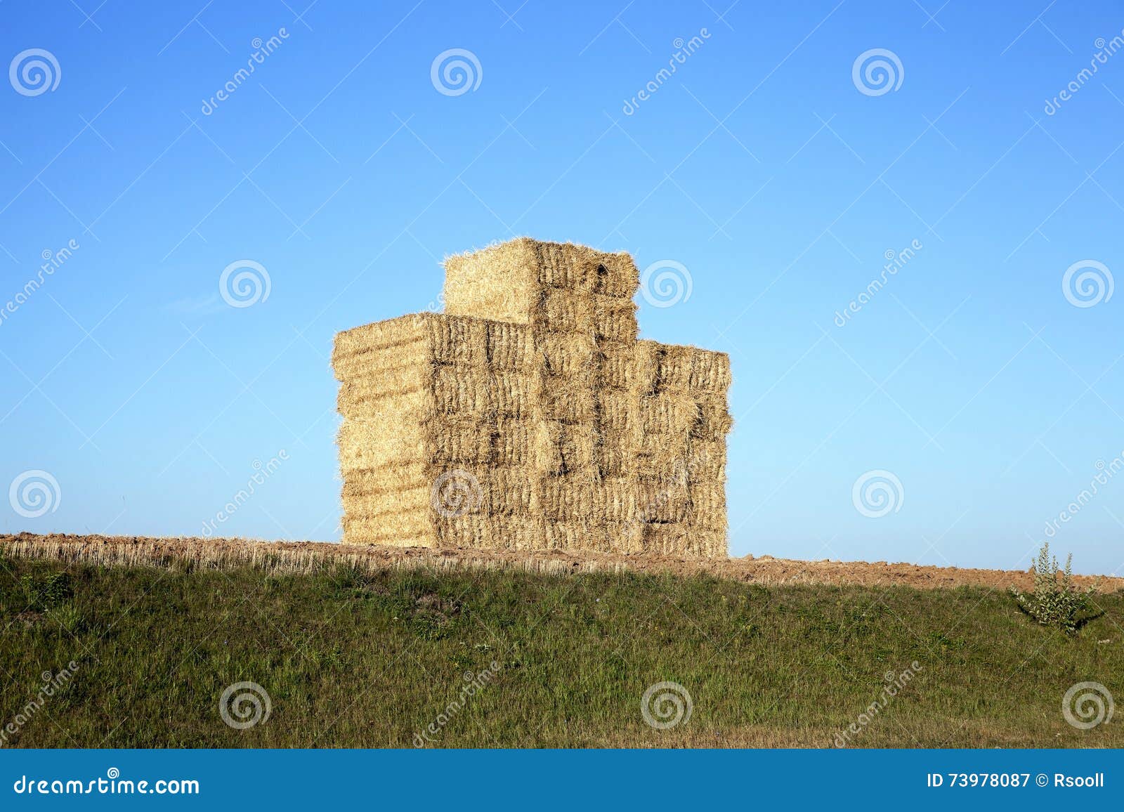 Stack of wheat straw stock image. Image of rolled, industry - 73978087