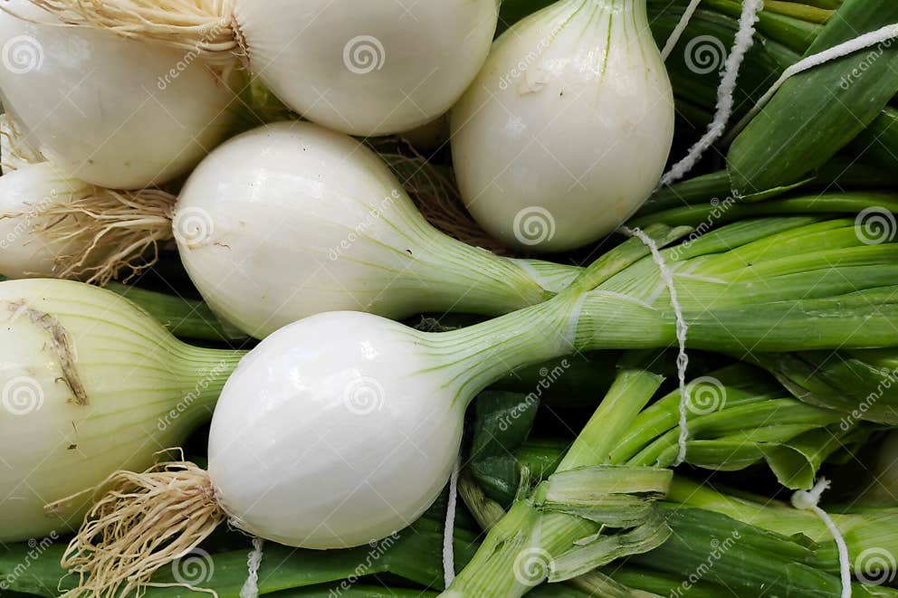 Stack of White Onions on a Market Stall Stock Image - Image of onion ...