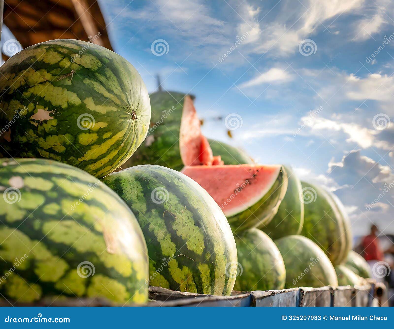 A Stack of Whole Watermelons and One Cut Open Revealing Its Red ...
