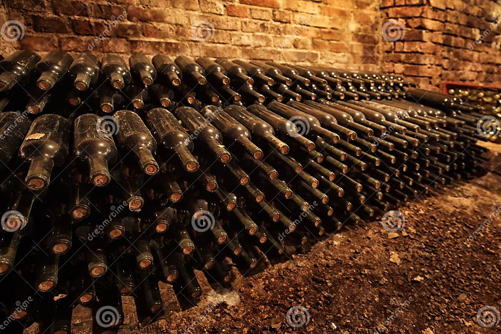 Wine bottles in cellar stock image. Image of beverage - 147530133