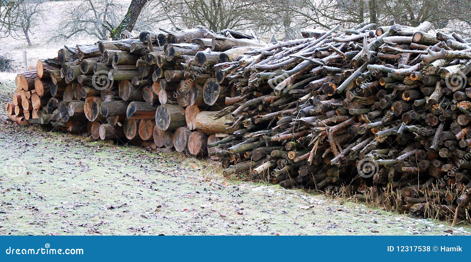 Stack of wood stock photo. Image of icicle, forest, mountain - 12317538