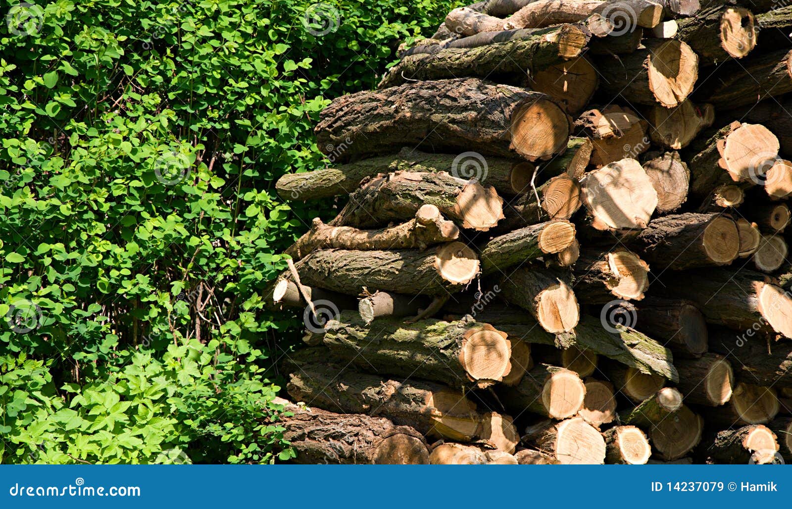 Stack of wood stock image. Image of bark, construction - 14237079