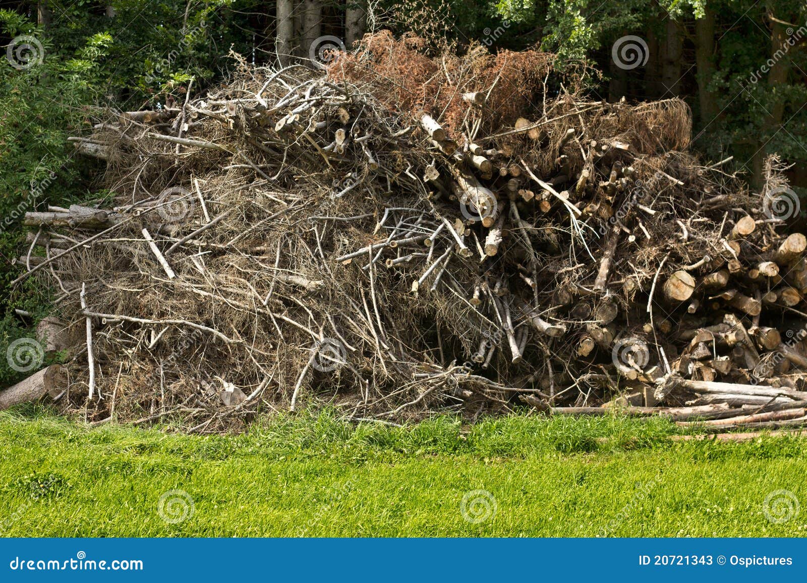 A stack of a wood stock image. Image of wood, tree, stack - 20721343