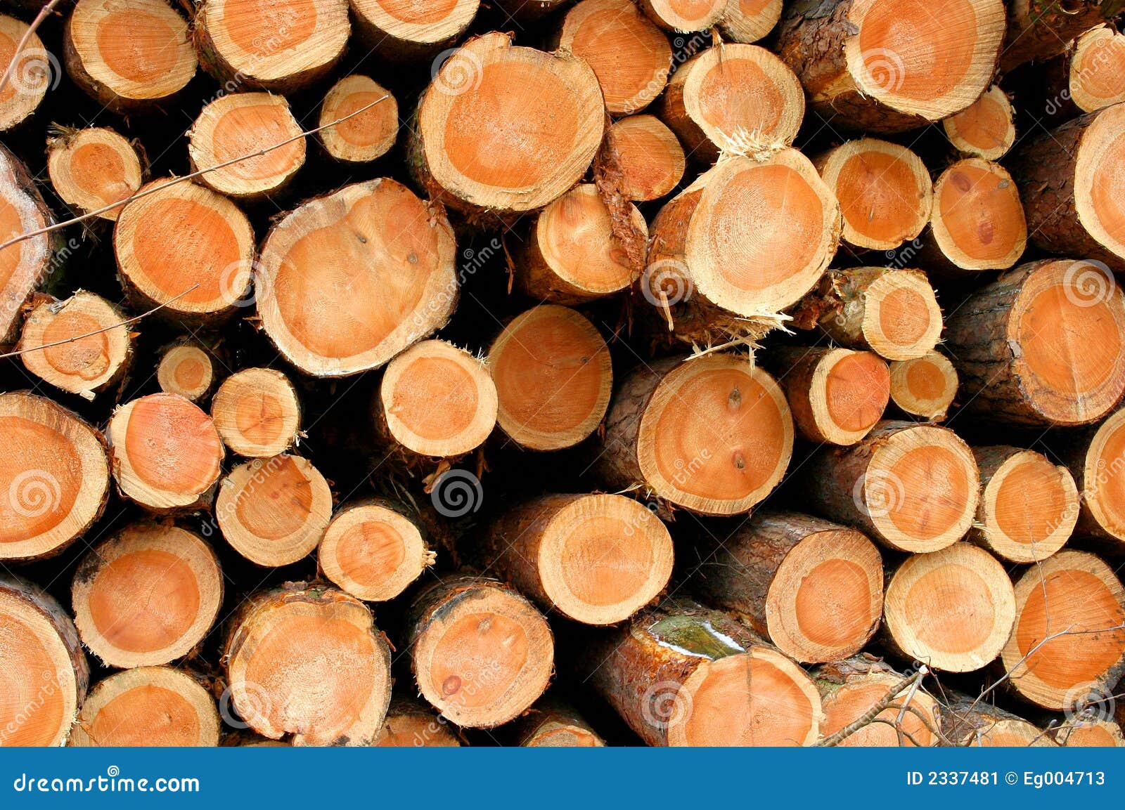 Stack of wood stock image. Image of power, detail, structure - 2337481