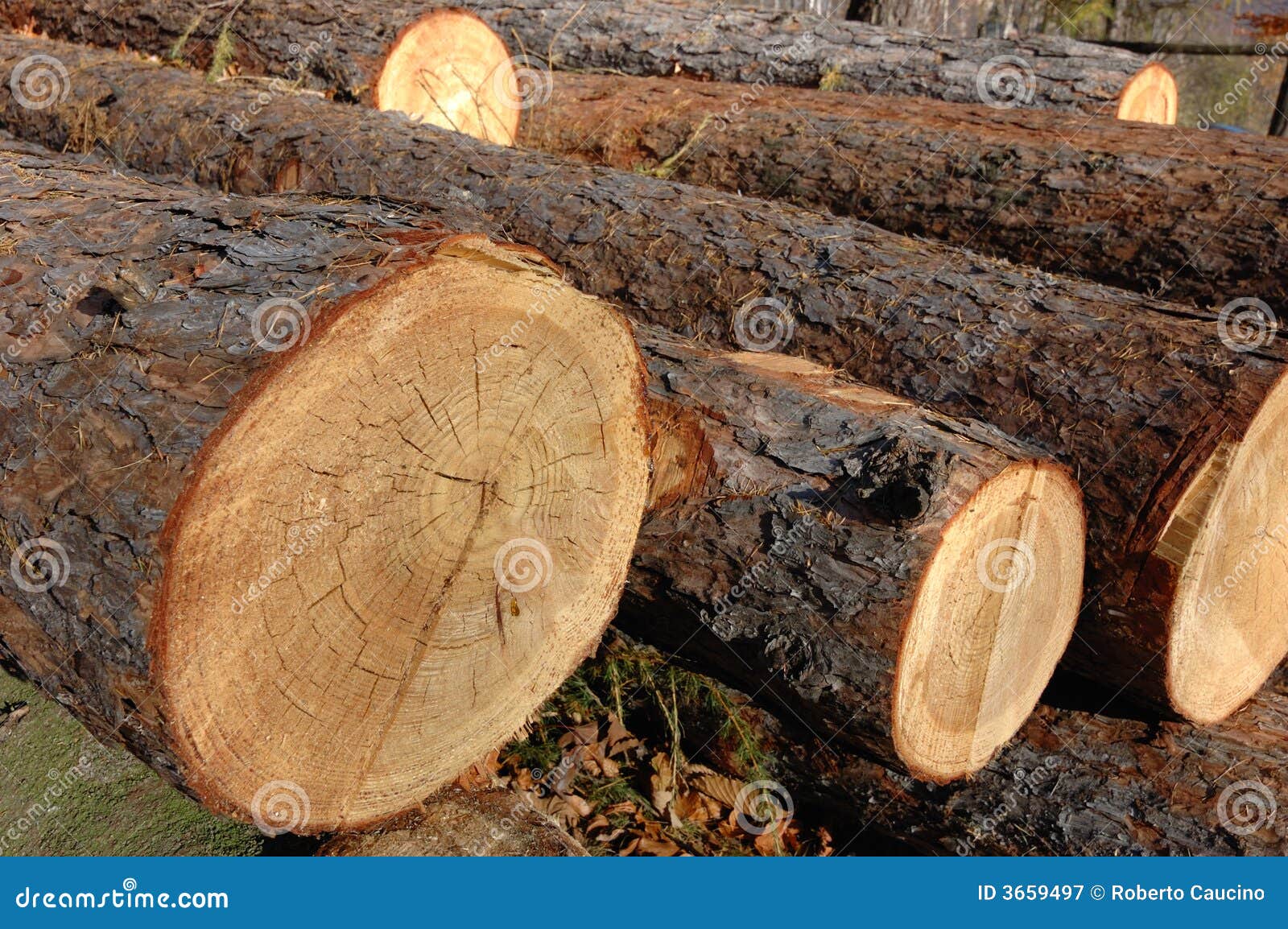 Stack of wood stock image. Image of wood, chopped, traditional - 3659497