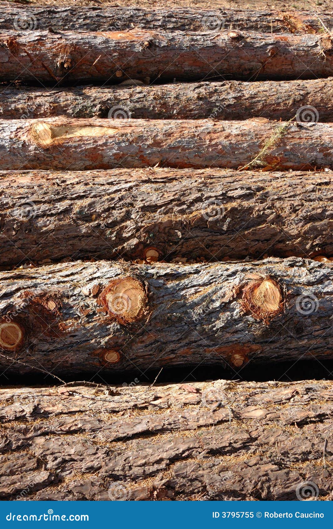 Stack of wood stock image. Image of pattern, shapes, structure - 3795755