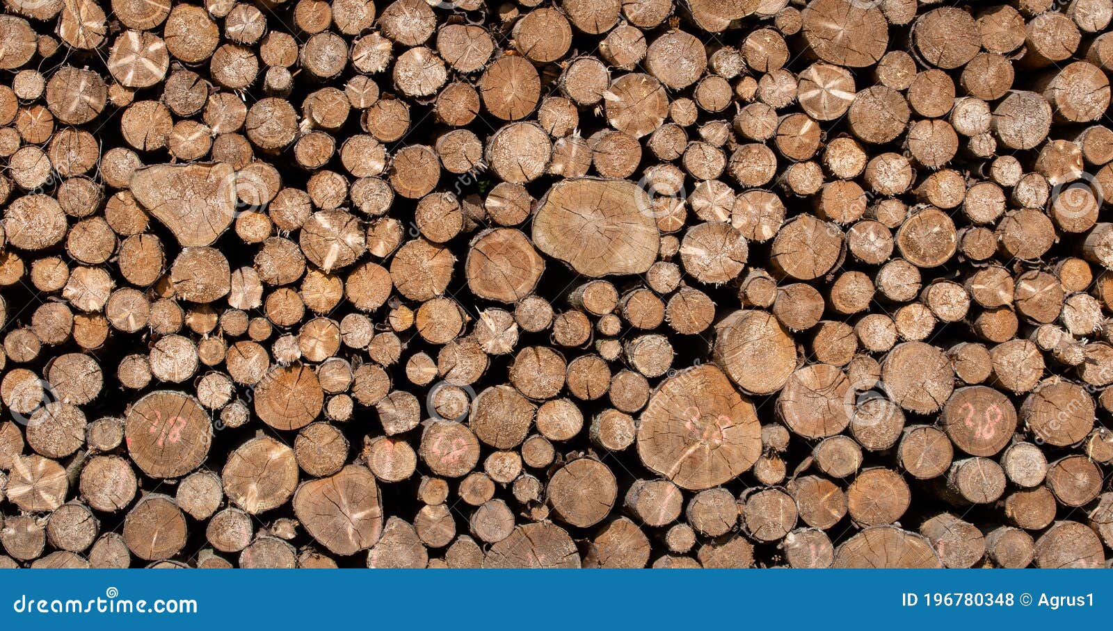 Stack of Wood - Backgrounds of Timbers Stock Photo - Image of surface ...