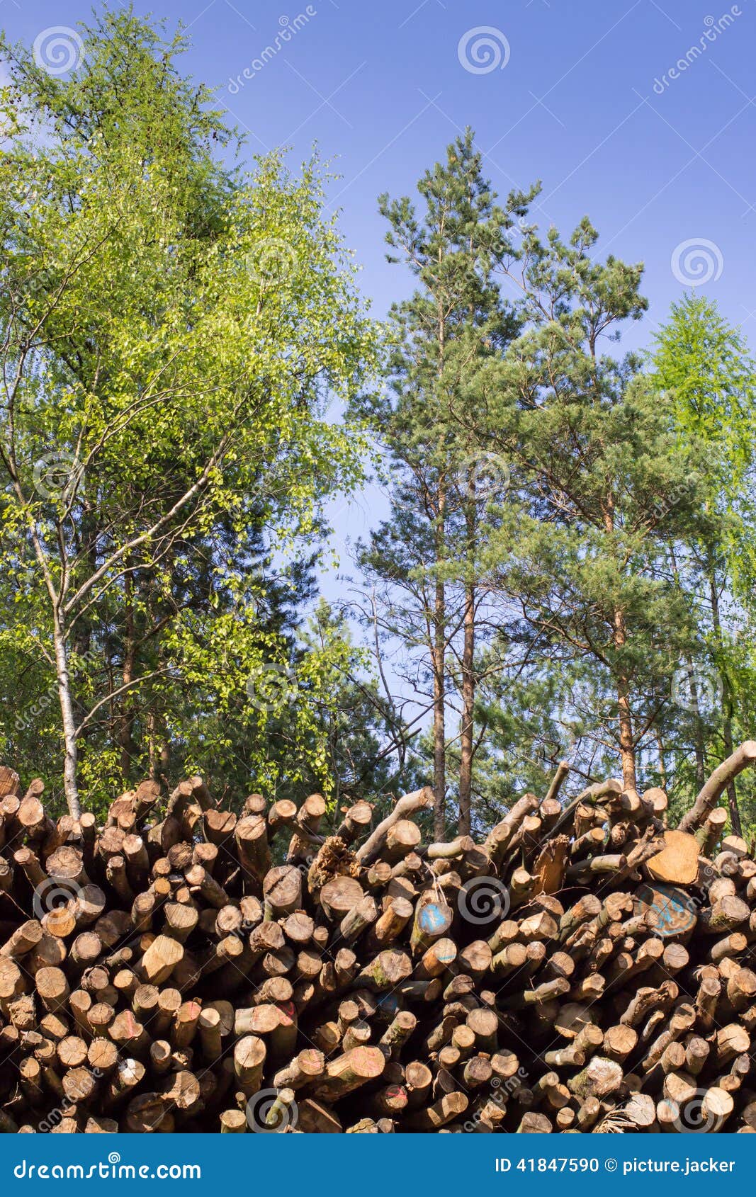 Stack of wood stock photo. Image of renewable, economy - 41847590