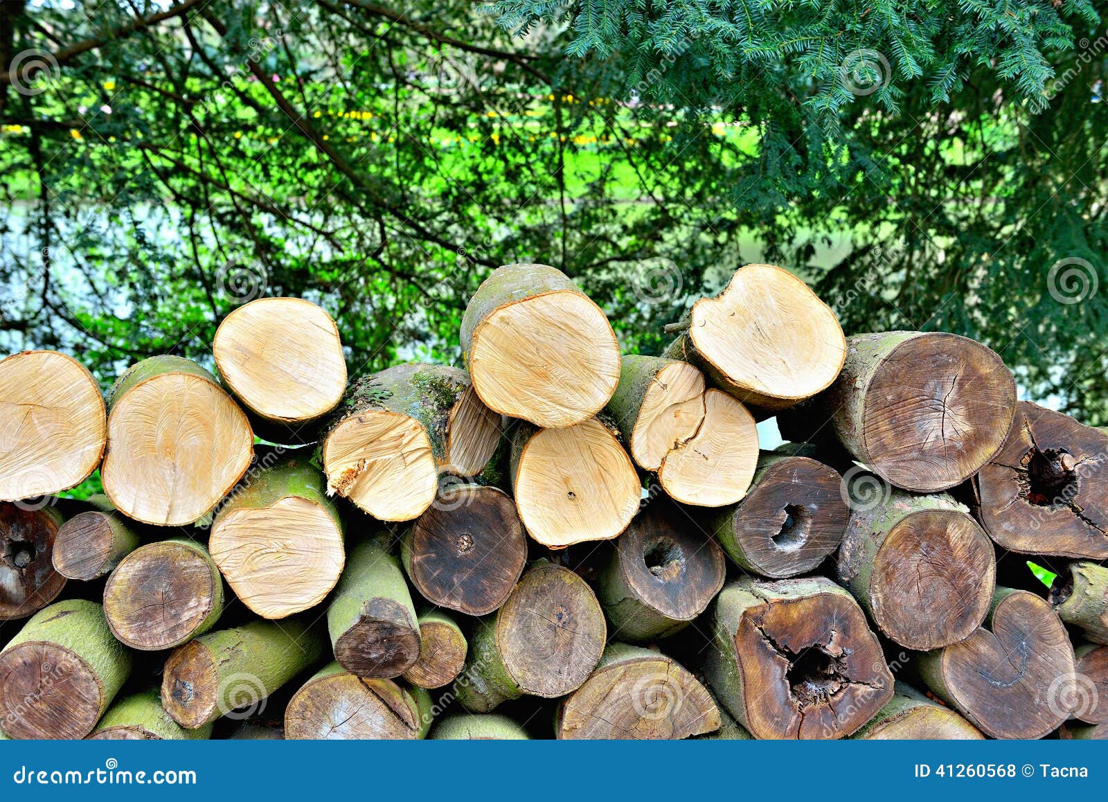 Stack of wood stock photo. Image of reserved, nature - 41260568